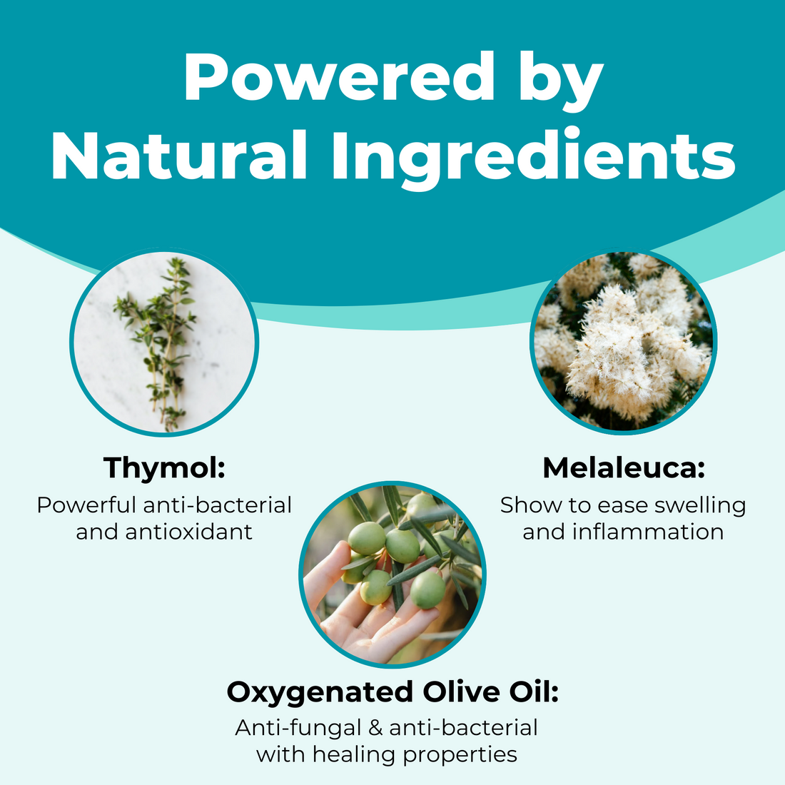 UTI Infection Protection Vulva Cream - Natural Defense Against UTIs ...